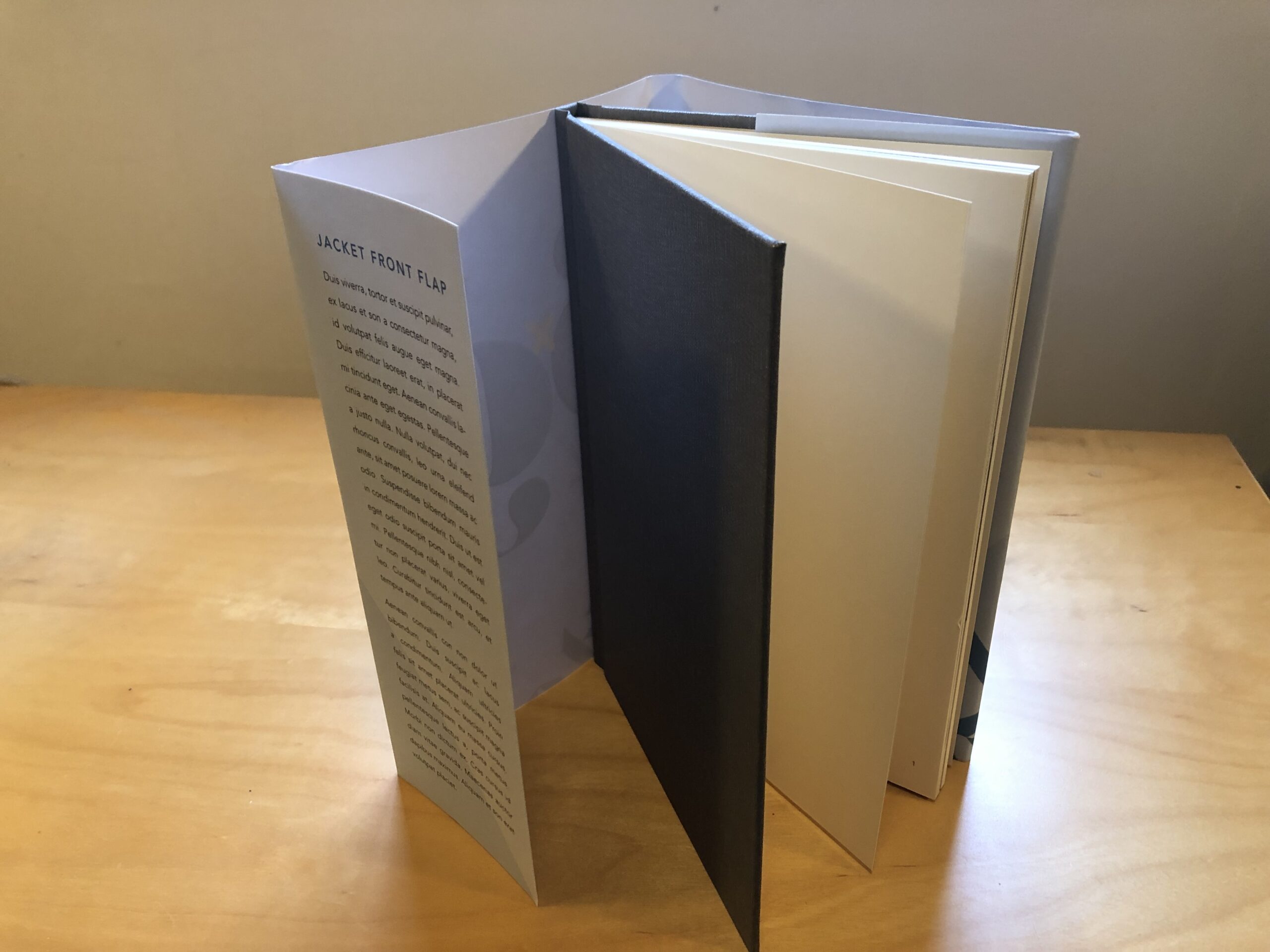 Is the hardback’s day done? | Alison Morton's Thrillers